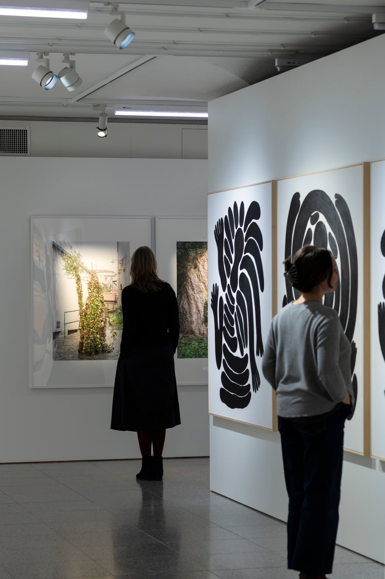 More than Human – Design mit der Natur | Museum für Gestaltung Zürich